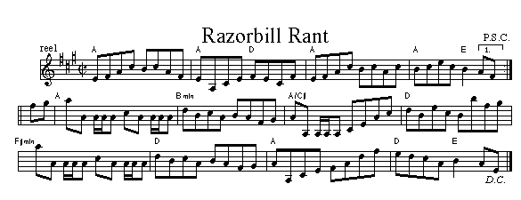 More Tunes from the Lighthouse: R%azorbill Rant